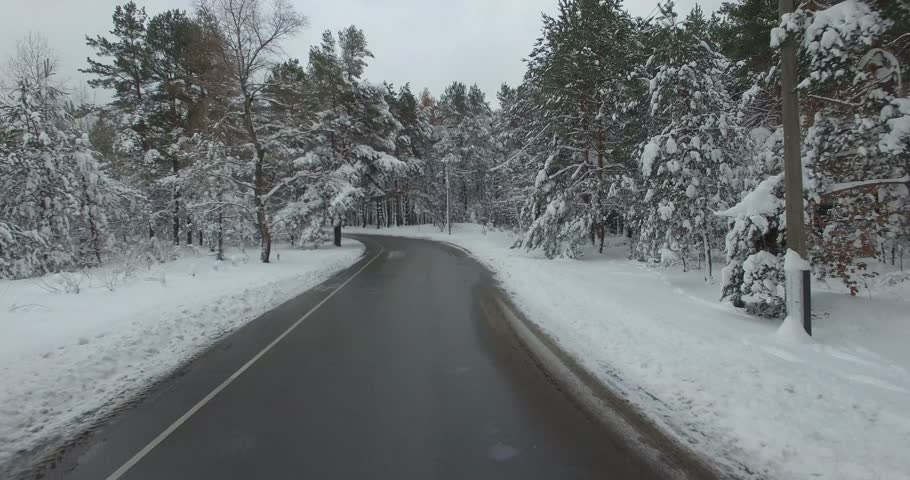 Road through Snow covered pine forest image - Free stock photo - Public ...