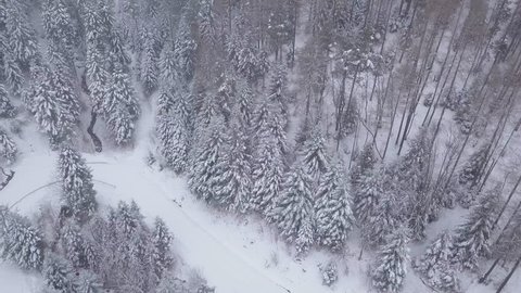 falling snow winter Stock Footage Video (100% Royalty-free) 628810 ...