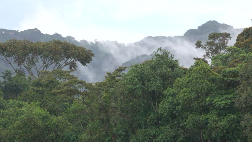 Coffee Heaven image - Free stock photo - Public Domain photo - CC0 Images