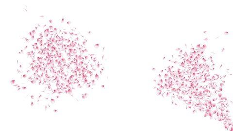 Pink Petal Explosion Animation Happy Scenes Stock Footage Video (100% ...