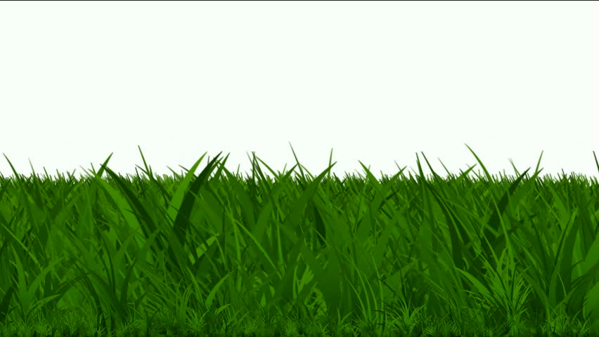 animated grass Stock Footage Video (100% Royalty-free) 40085 | Shutterstock