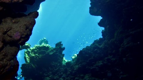 Cave Diving Underwater Scuba Divers Exploring Stock Footage Video (100% ...