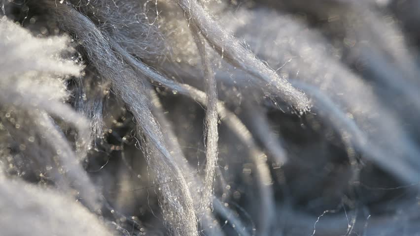 3,971 Rug Pattern Stock Video Footage - 4K and HD Video Clips ...