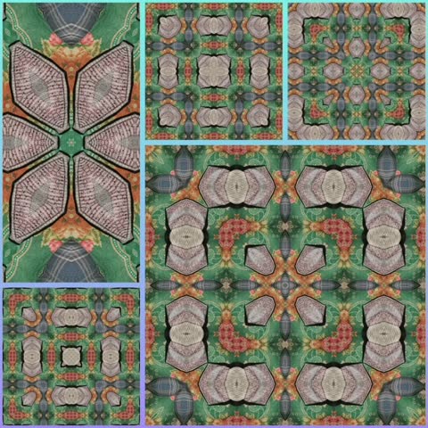 716 Iranian Pattern Stock Video Footage - 4K and HD Video Clips ...