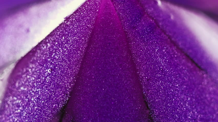 Download Liquid Edge - FREE Videohive - aedownload.com