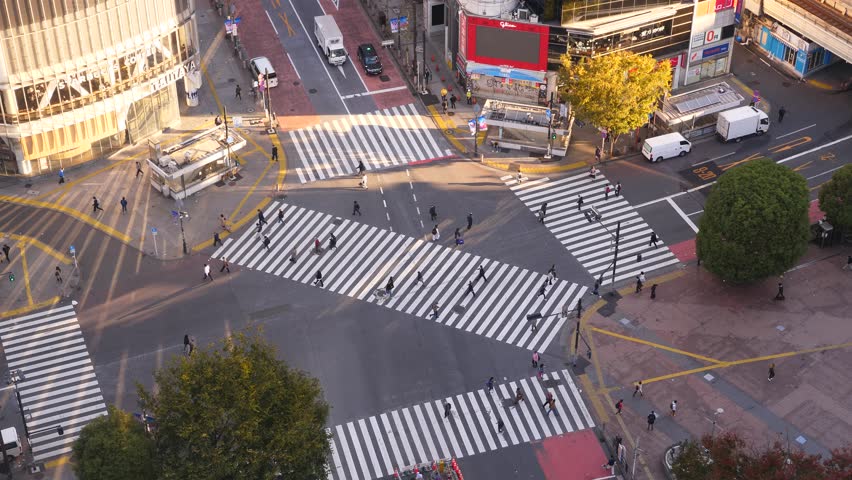 12,307 Shibuya Crossing Stock Video Footage - 4K and HD Video Clips ...