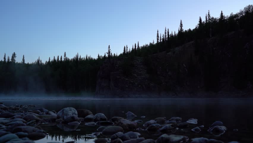 Forest Videos: 4K and HD Video Clips for Download