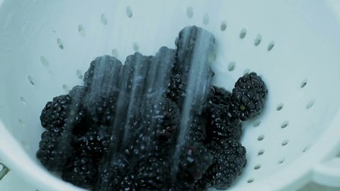 Washing Blueberry Stock Footage Video (100% Royalty-free) 3569432 ...