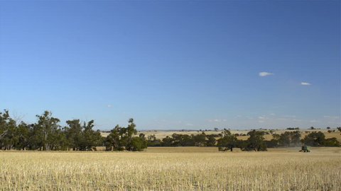Harvesting Swathed Canola Crop On Australian Stock Footage Video (100% ...