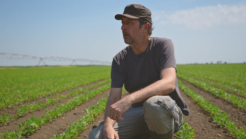 Farmer Field Videos: 4K and HD Video Clips for Download