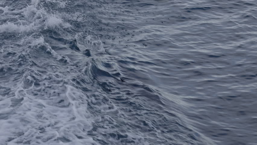 3,374,770 Ocean Stock Video Footage - 4K and HD Video Clips | Shutterstock