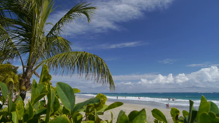 dolly shot tropical beach Stock Footage Video (100% Royalty-free ...