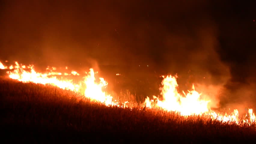 Southern Night. Burning Prairie Grass. Stock Footage Video (100% ...
