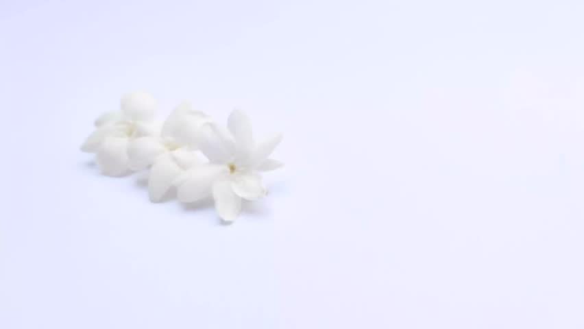 543,974 White Flowers Stock Video Footage - 4K and HD Video Clips ...