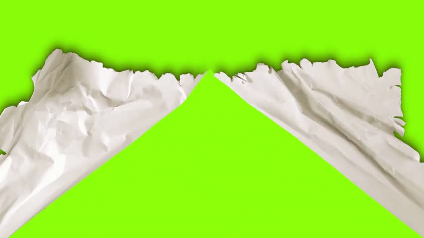 Download Social Reveal | Logo Intro - FREE Videohive - aedownload.com