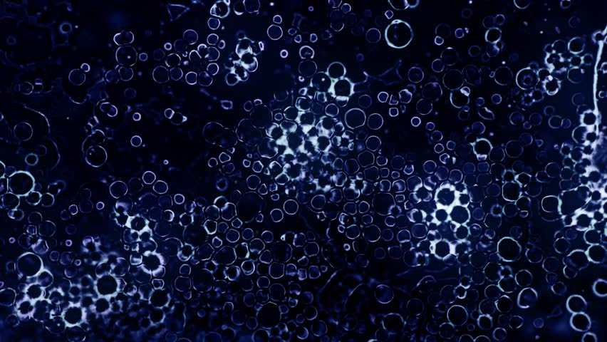 Download Microbe Animation - aedownload.com