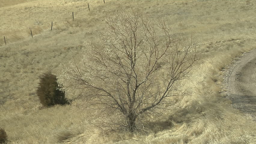 windy winter day strong winds blow Stock Footage Video (100% Royalty ...