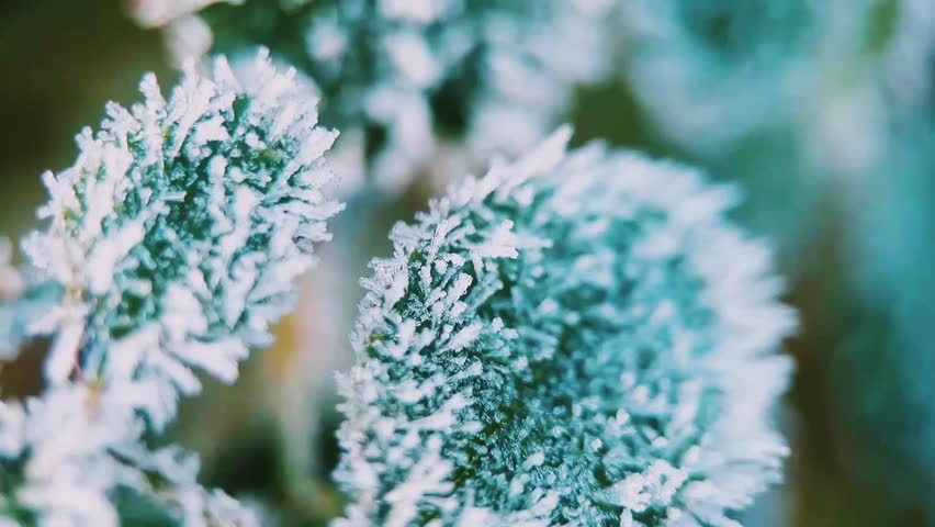 Download Poster Freeze Frame - Videohive - aedownload.com