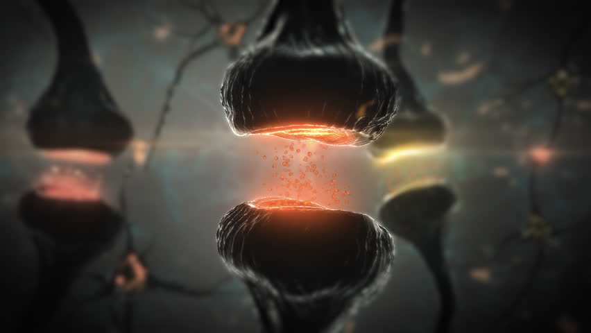 10,207 Neurons Brain Stock Video Footage - 4K and HD Video Clips ...