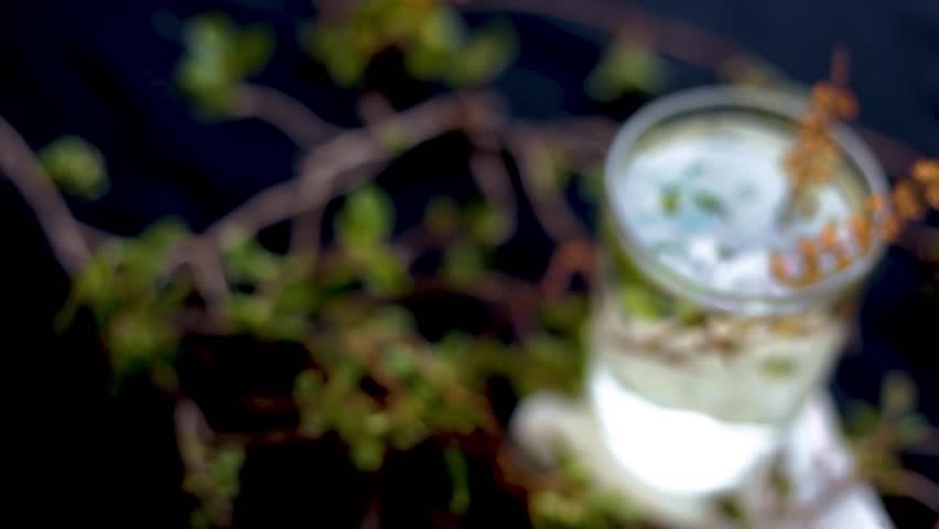 398 Tulsi Leaves Stock Video Footage - 4K and HD Video Clips | Shutterstock