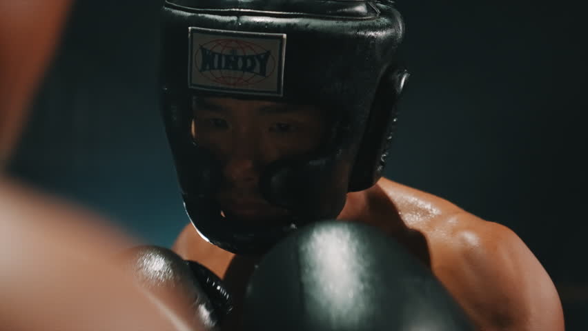 Boxing Knockout Stock Footage ~ Royalty Free Stock Videos | Pond5