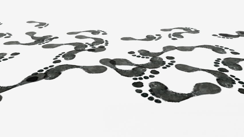 Animated Footprints On White Background Stock Footage Video (100% ...