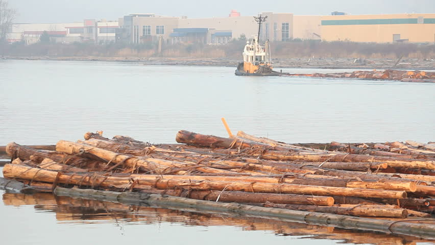 Fraser River, Tugboat Towing Log Stock Footage Video (100% Royalty-free ...