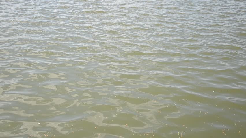 peaceful lake water flow movement background Stock Footage Video (100% ...