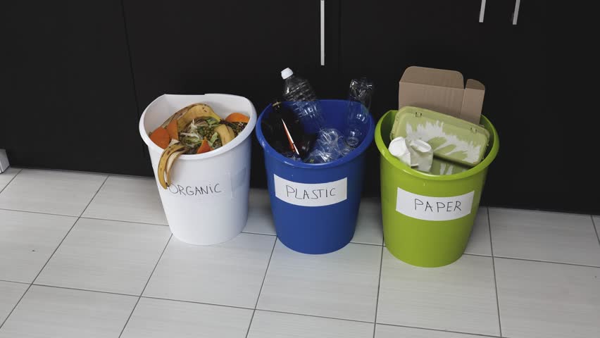 Food Waste Videos: 4K and HD Video Clips for Download