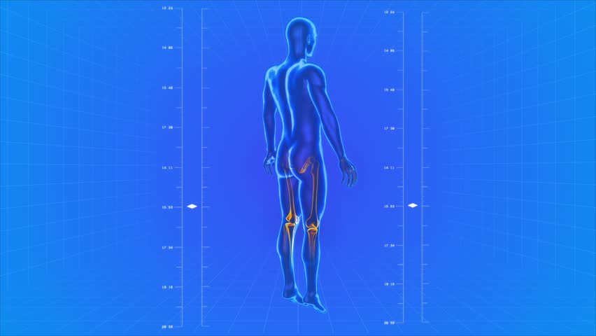 Human Body of a Man Stock Footage Video (100% Royalty-free) 3749549 ...