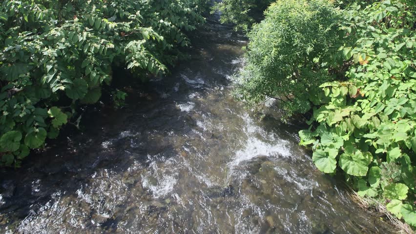 Download Clean Rolling Ball Logo Reveal - Videohive - aedownload.com