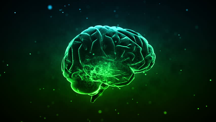 abstract background animation rotation human brain Stock Footage Video ...