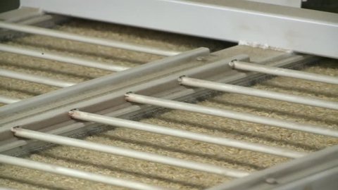 Rice Grain Factory On Shaker Sorter Stock Footage Video (100% Royalty ...