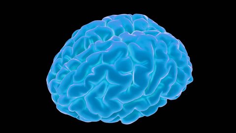 Blue 3d Brain Turning Animation Stock Footage Video (100% Royalty-free ...