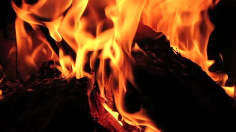 Real Wood Fire Burning Fireplace Burning Stock Footage Video (100% ...