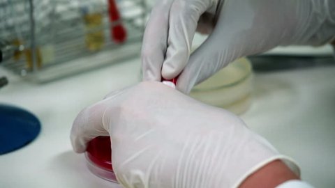 Pharmacy Student Prepares Experiment Stock Footage Video (100% Royalty ...