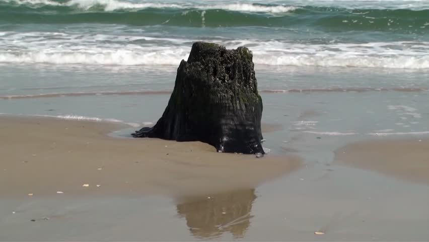 waves flowing over tree stump on Stock Footage Video (100% Royalty-free ...