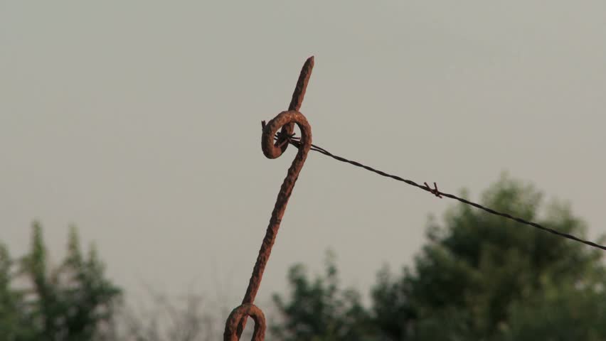 A Barbed Wire Entanglement from Stock Footage Video (100% Royalty-free ...