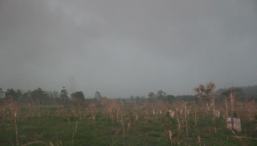 severe wind storm fields going rain Stock Footage Video (100% Royalty ...