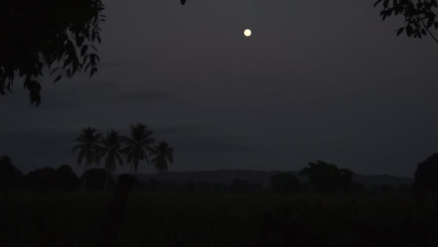 Haiti Moonlit Night Sky. Stock Footage Video (100% Royalty-free ...