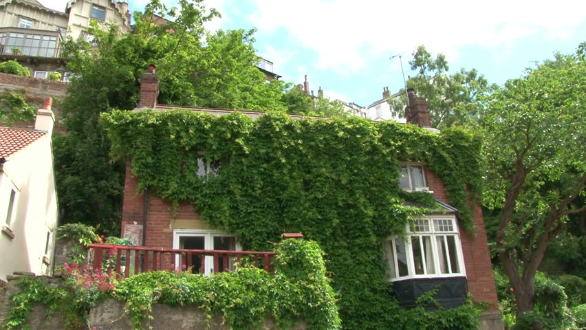 house covered leaves under old brick Stock Footage Video (100% Royalty ...