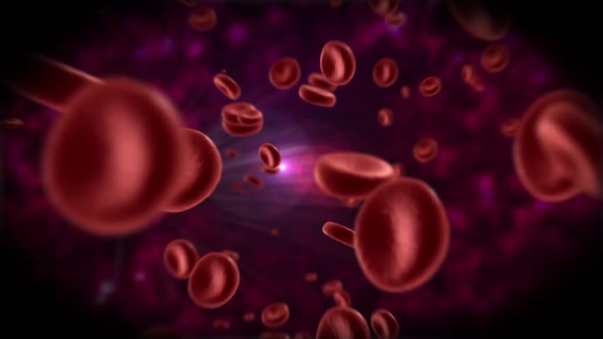Red Blood Cells Flow - Stock Footage Video (100% Royalty-free) 3971113 ...