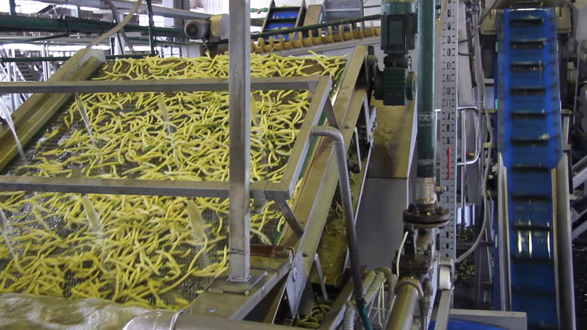 production green beans food factory Stock Footage Video (100% Royalty ...