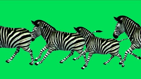 African Zebra Running Side View Outline Stock Vector (Royalty Free ...