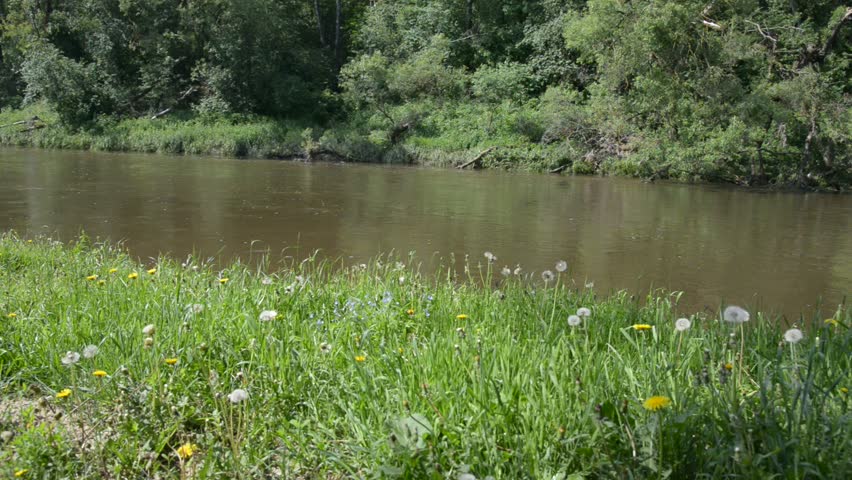 Landscape Green Meadow Stream, and Stock Footage Video (100% Royalty ...