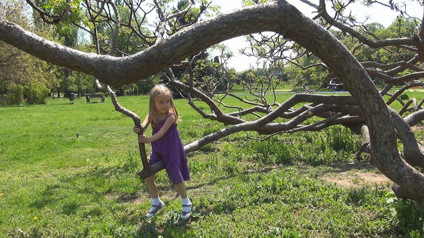 Child Riding a Branch Tree, Stock Footage Video (100% Royalty-free ...