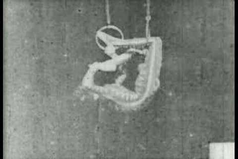 Contortionist Stock Video Footage - 4K and HD Video Clips | Shutterstock