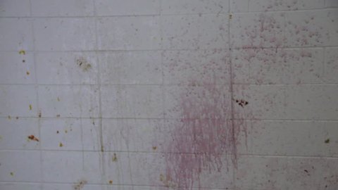 Food Fight Food Thrown Against Wall Stock Footage Video (100% Royalty ...