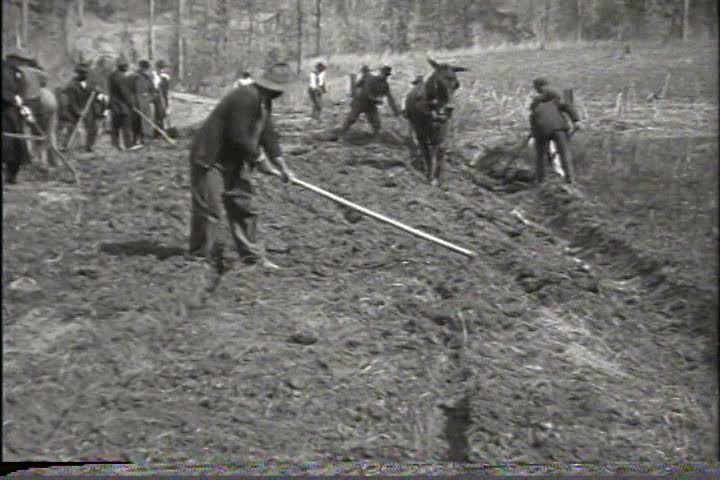 1920s - Sharecroppers in Alabama Stock Footage Video (100% Royalty-free ...