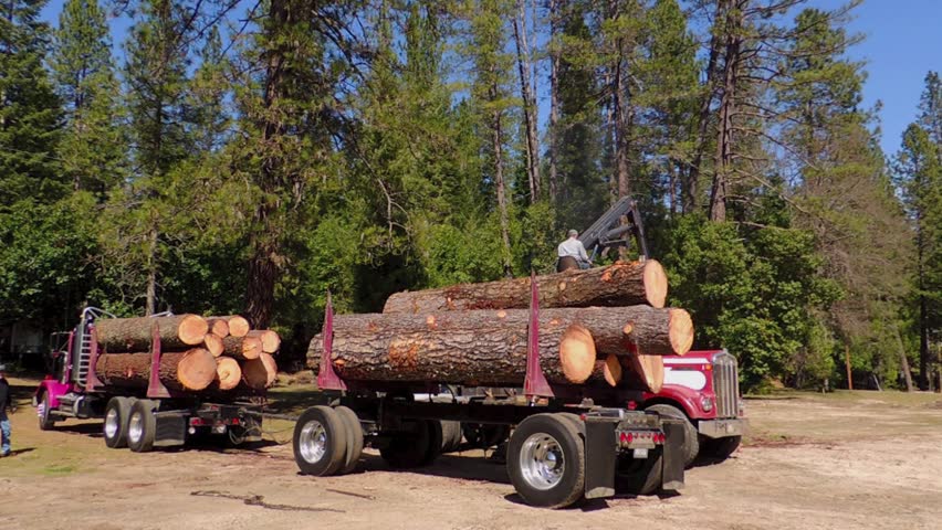 logging truck crane load logs aboard Stock Footage Video (100% Royalty ...